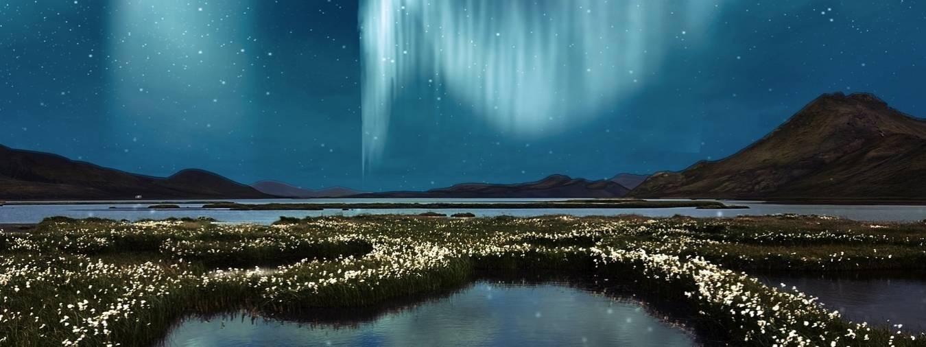 Шутки Юмор Анекдоты