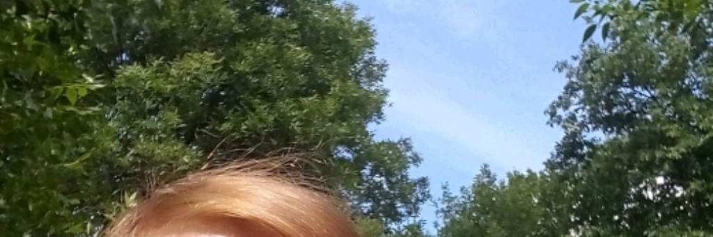 Лабрадор Джек