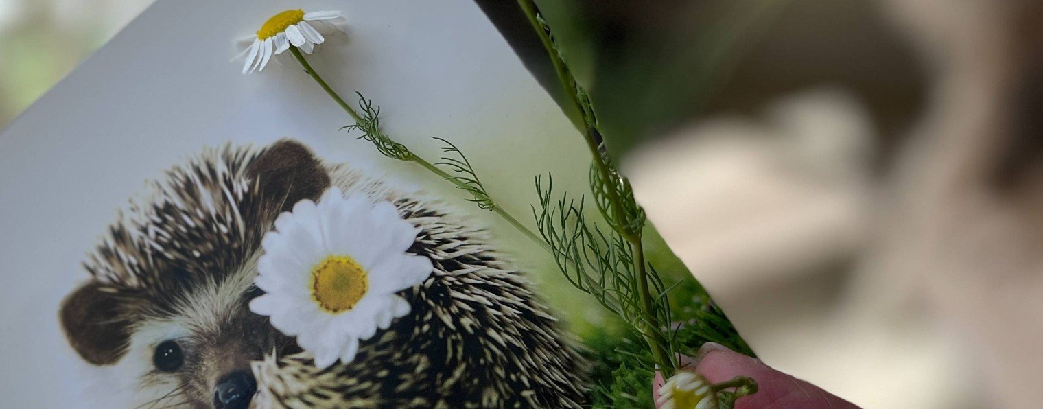 Психолог Жанна Максименко