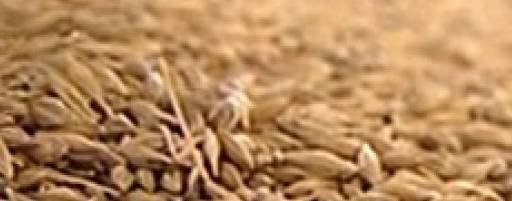 Управление Россельхознадзора по РТ