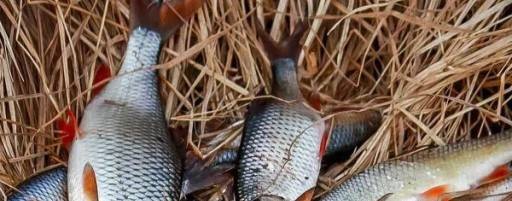 Безбашенный рыбак