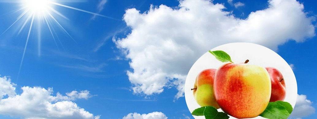 Алма-Ата!!! Алма-Ата!!! Алма-Ата!!!