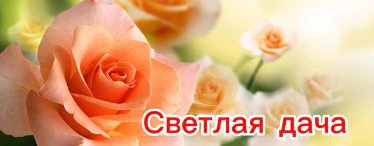 Светлая дача