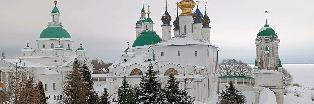 Николай Дубровский
