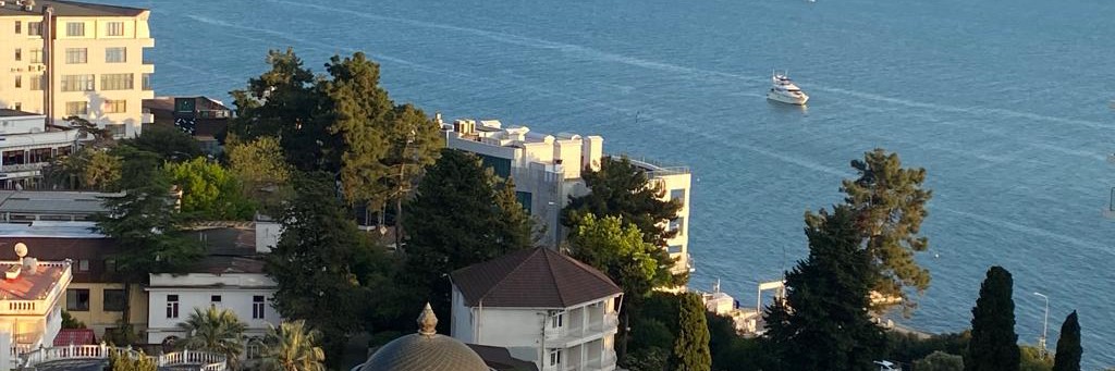 ЗОЗУЛЯ Ирина