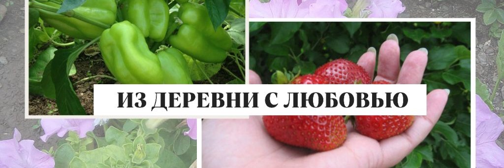 Из деревни с любовью