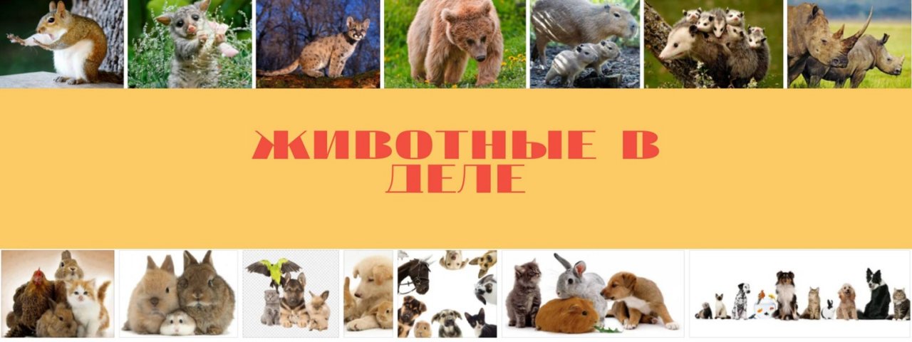 Животные в деле