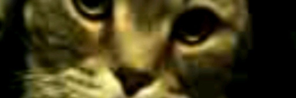 Rutube Хранилище Апасного Типа