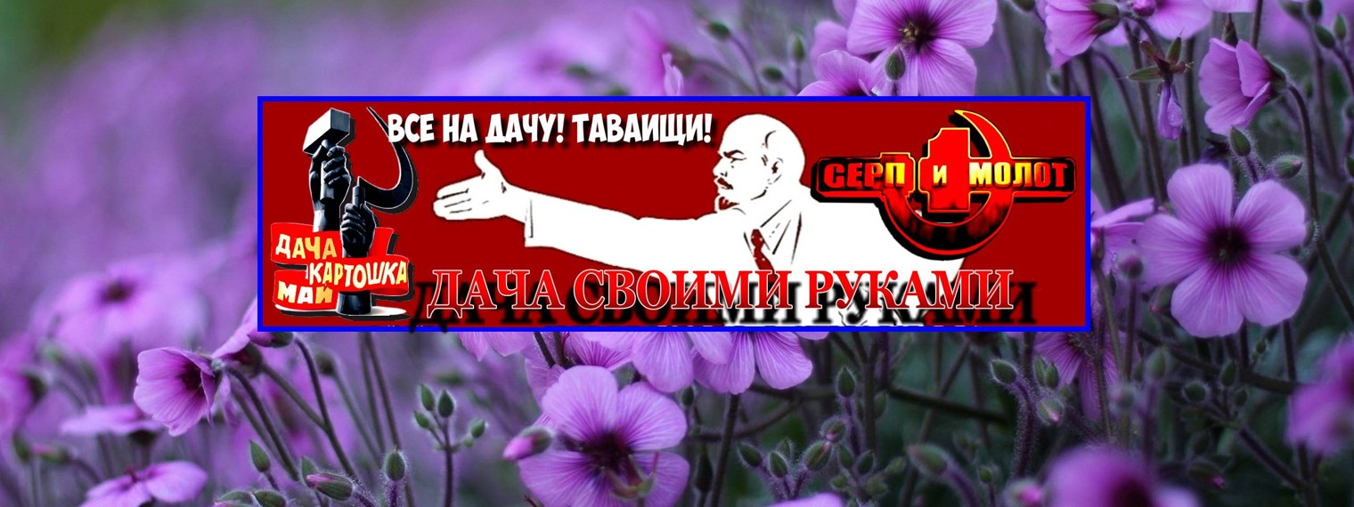 Дачный Партизан ☭