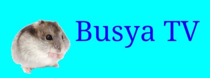 Busya TV