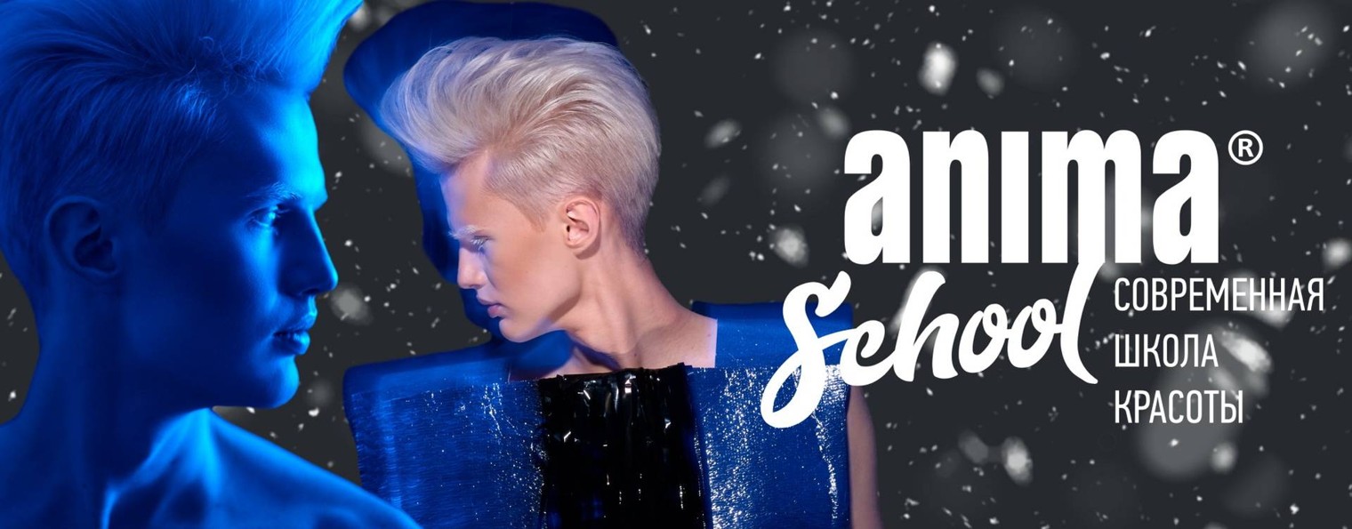 ANIMA SCHOOL