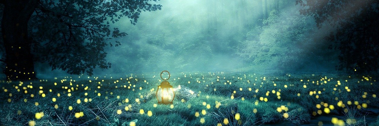 Полина Веда