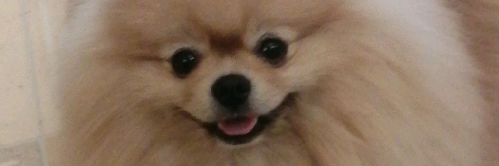 Яхонтовый наш