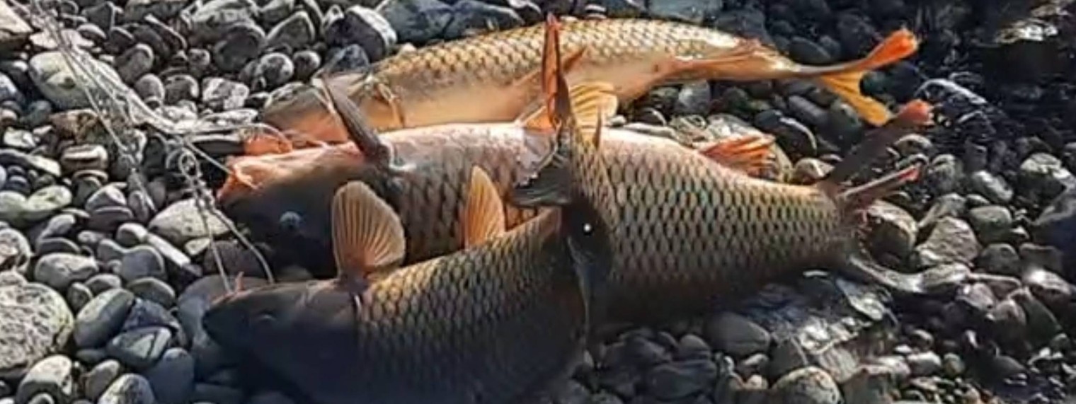 Евгений Юрковский