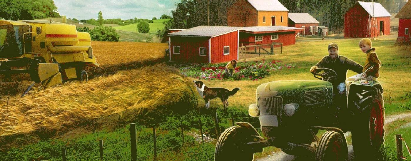 Old Farm/Старая ферма