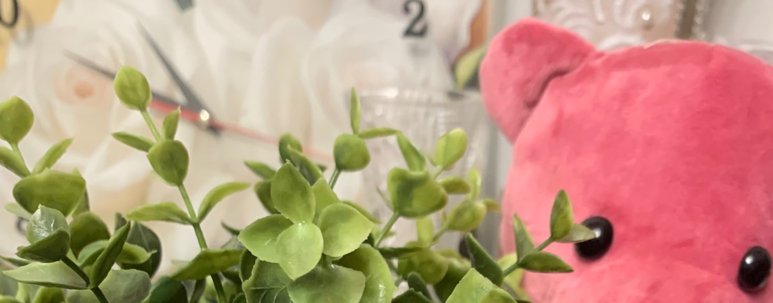 Живем на пенсии в России.