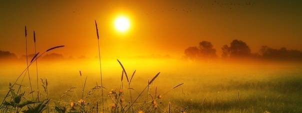 rutube_account_5709565