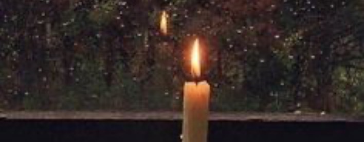 Дарья Яркова