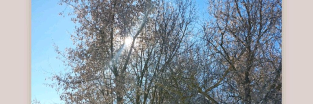 Илсаф Мастер РэйКи