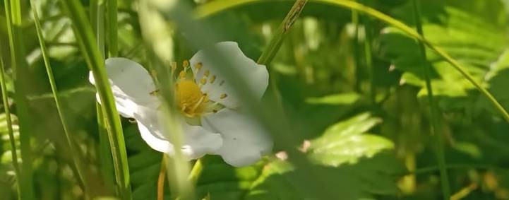 Жизнь - это прекрасно