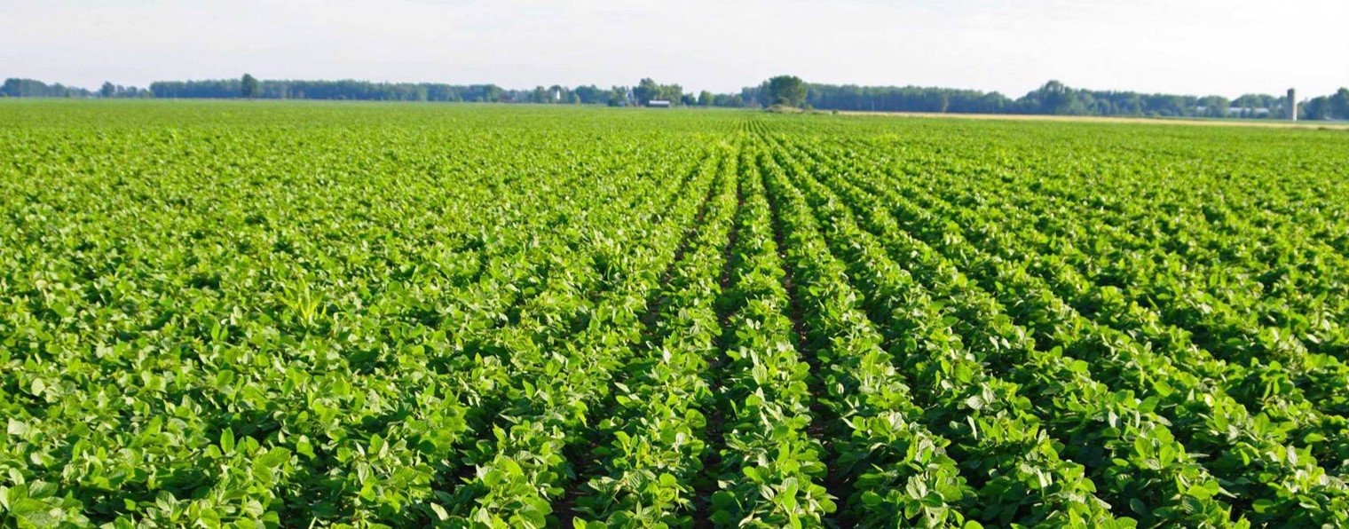 microvit_agro