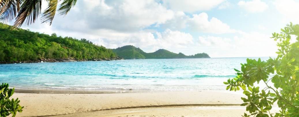 Антон Акулов