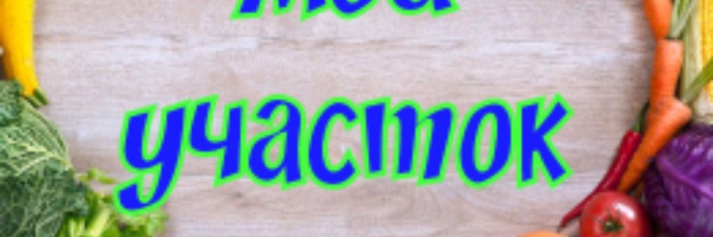 Мой участок