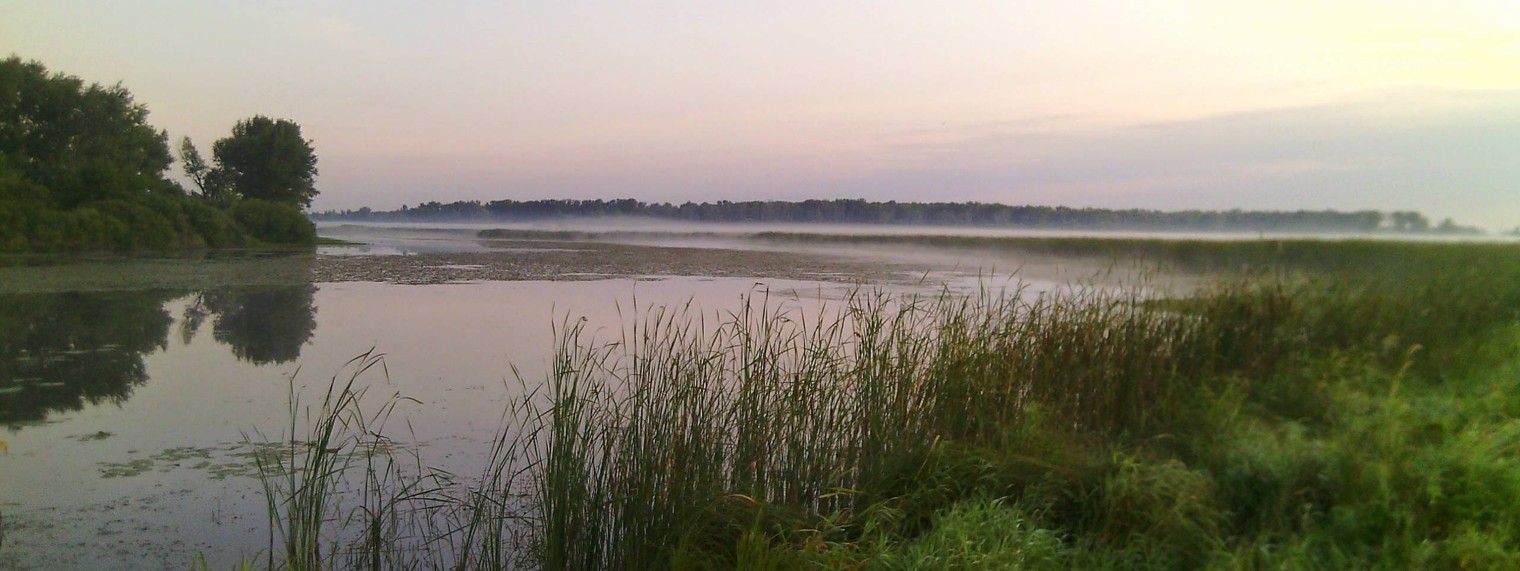 Дмитрий Чистяков