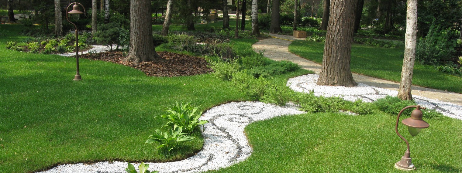 Роман Ландшафт