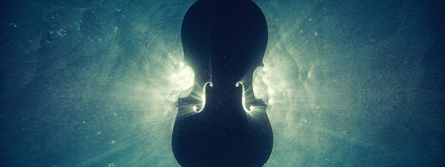 Максим Васильев