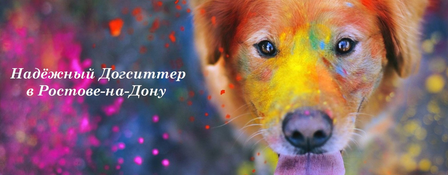 dogsi-rnd.ru