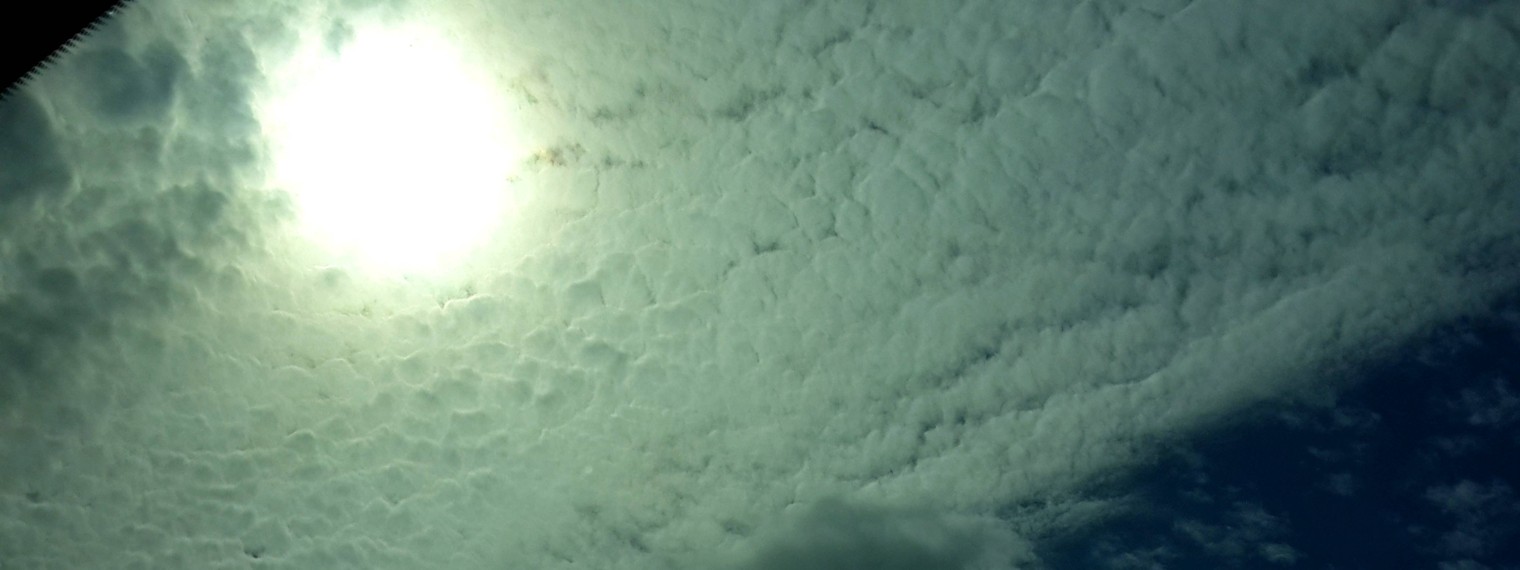 Владимир Лысенко