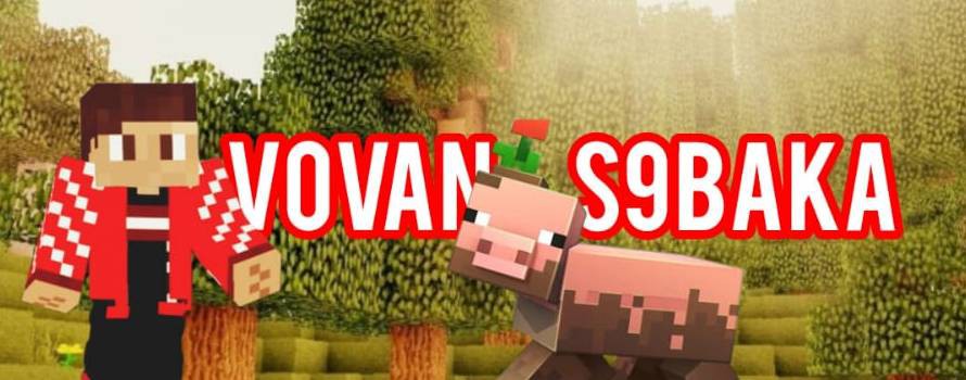 Vovan_S9baka