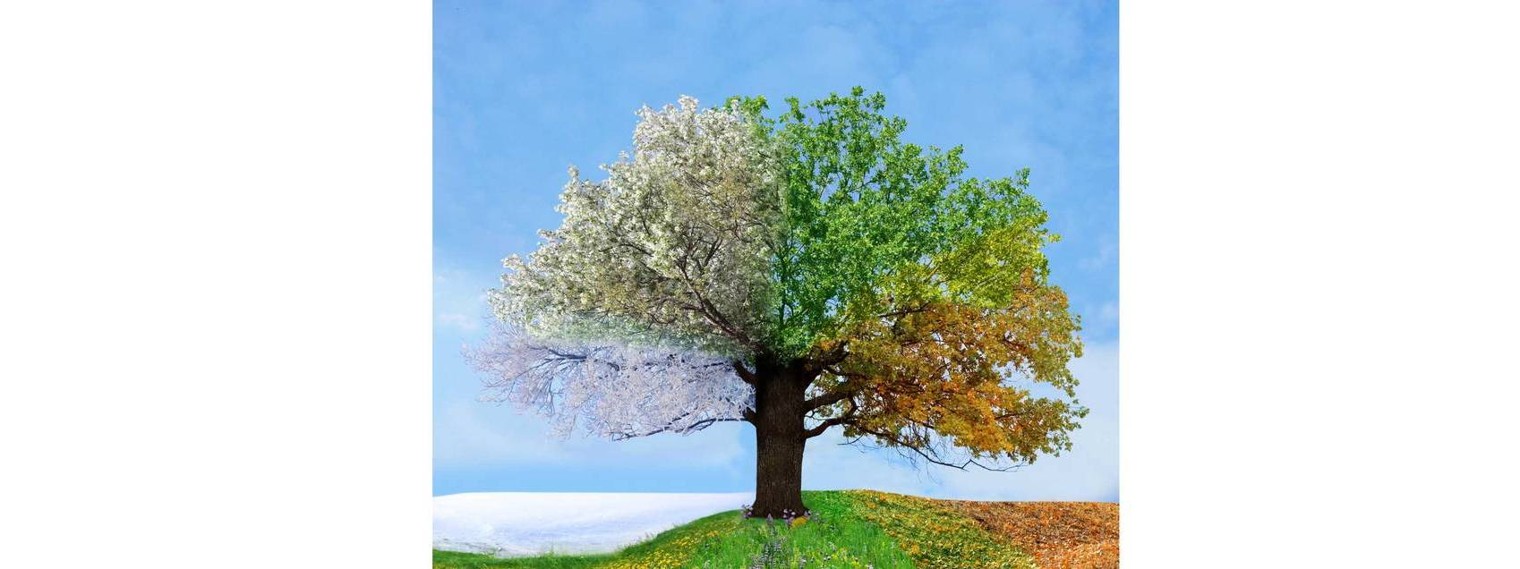 Министерсво социальной защиты Тамбовской области