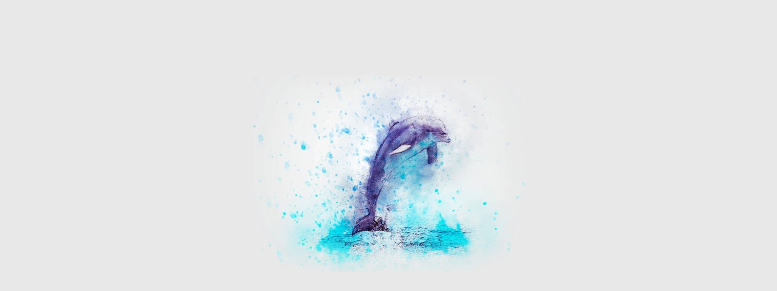 DOLPHiN