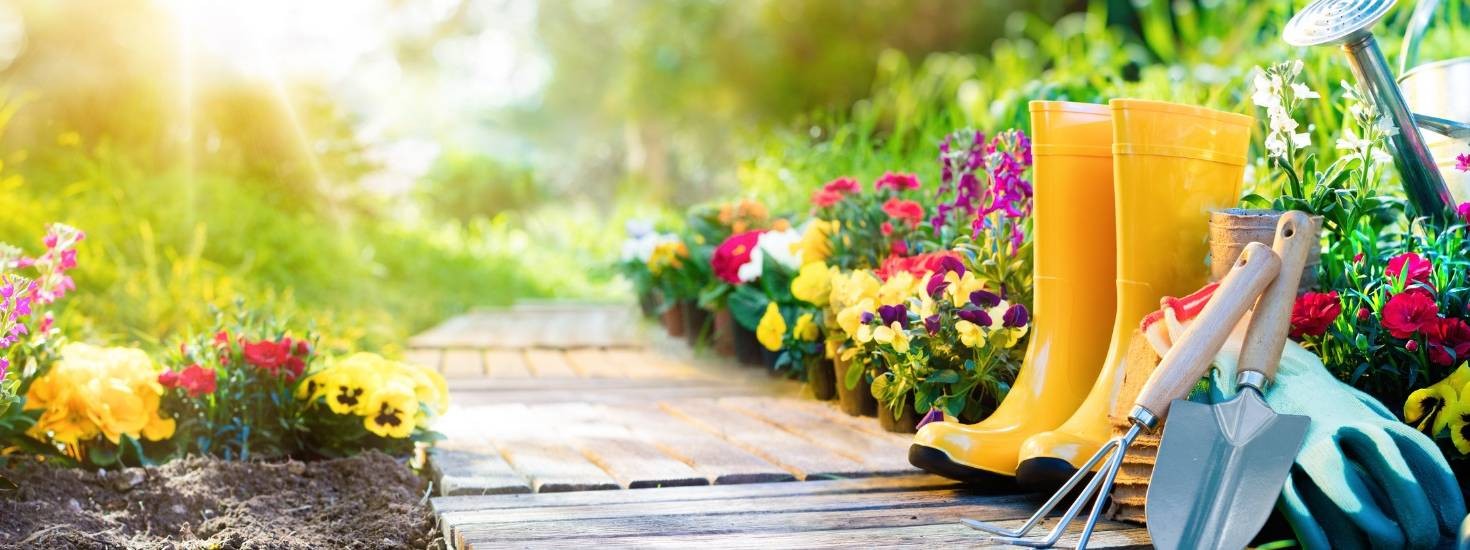 Дачный сезон