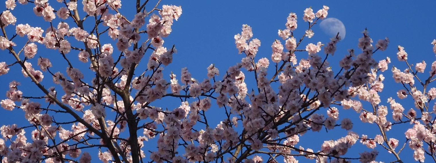 Композитор Владимир ЛАРИОНОВ