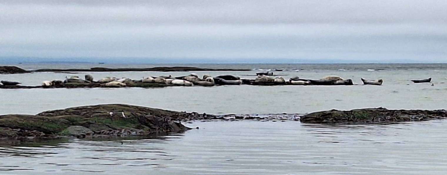 Василий Позднев