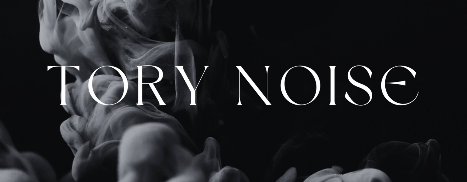torynoise