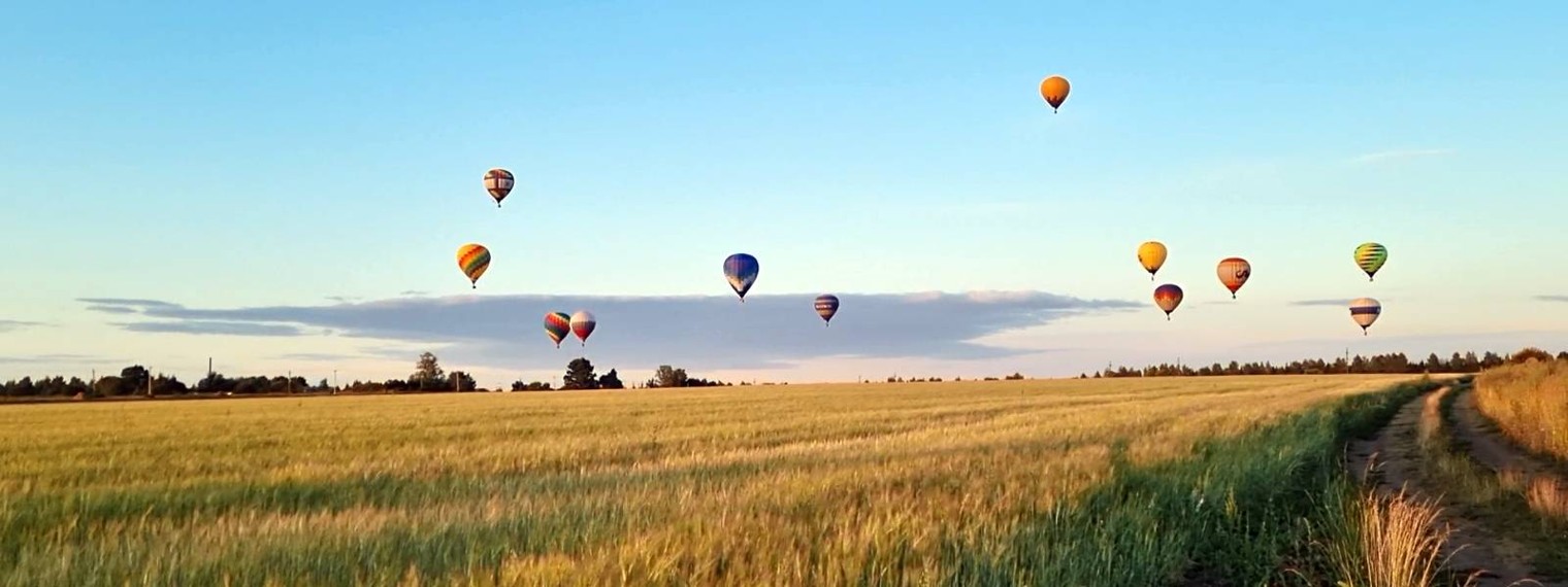 Степан Николаев