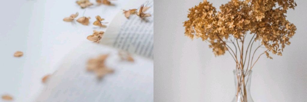 MARI tsvetochnaya_feia