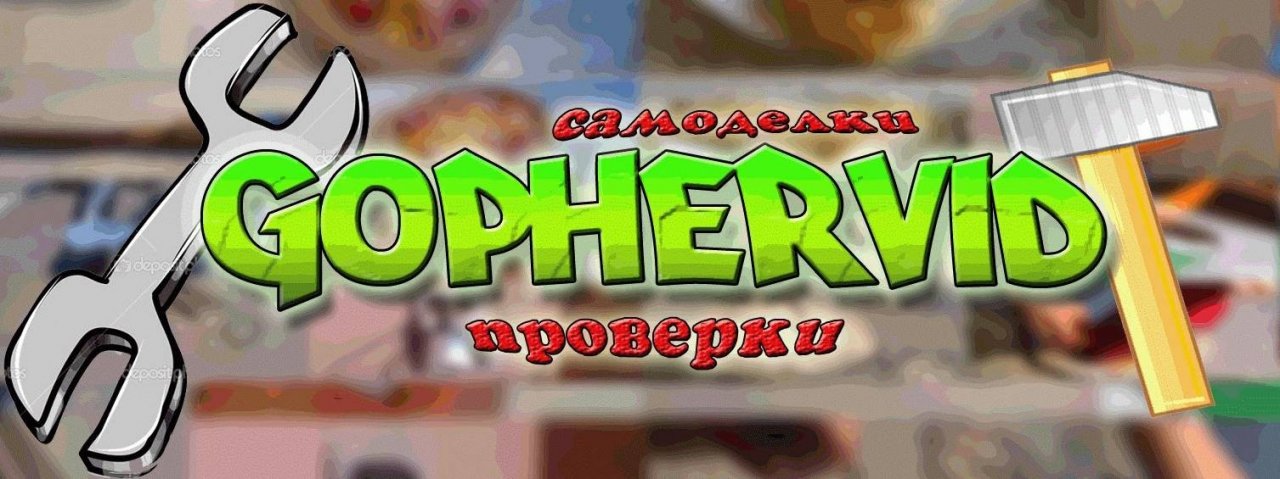 GopherVid