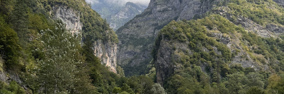 Дарья Сабурова