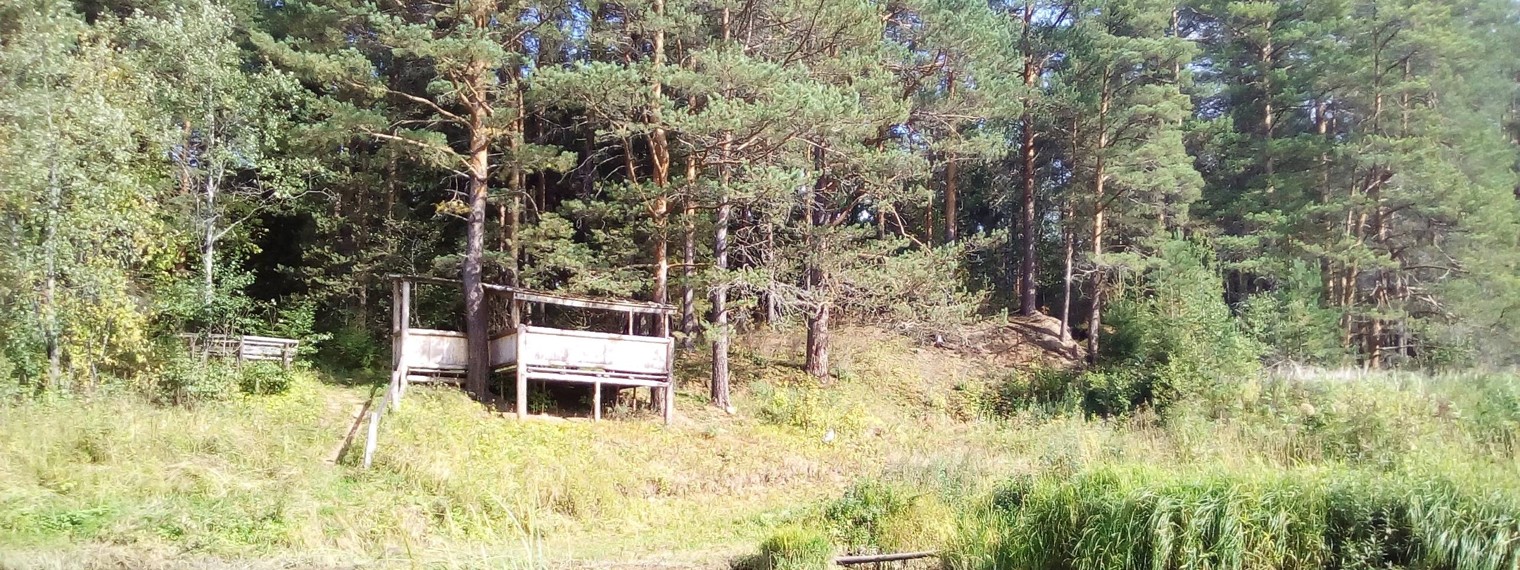 Рыбалка 43