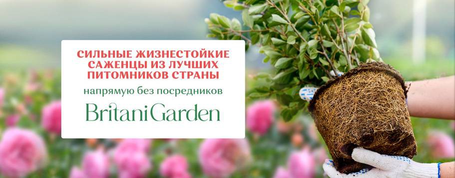 Садовый центр "Britani Garden" в МО