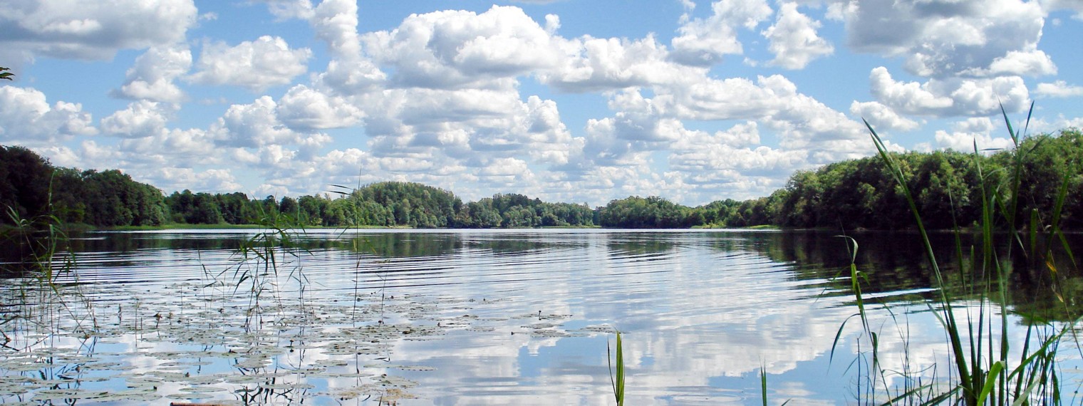 Все по-честному