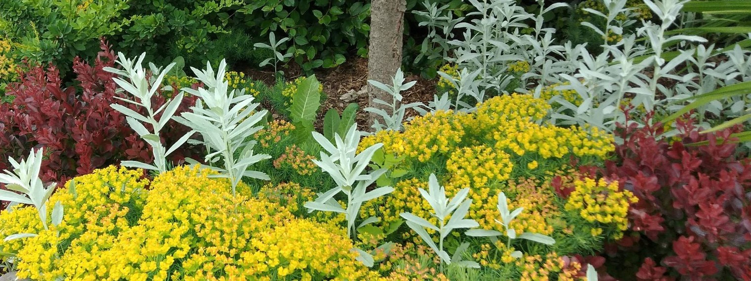 Жизнь садовода