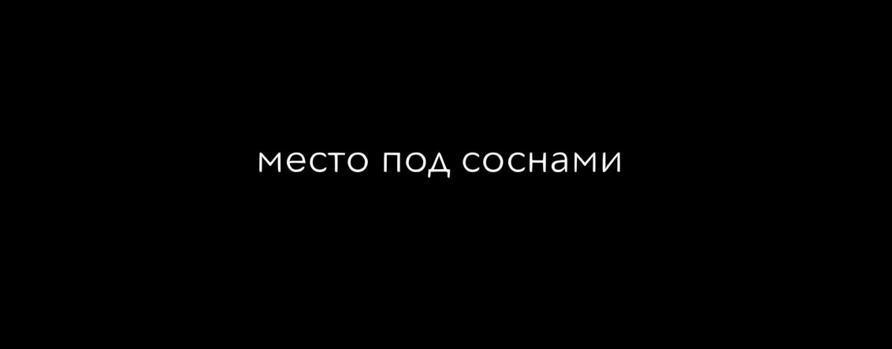 Место под соснами