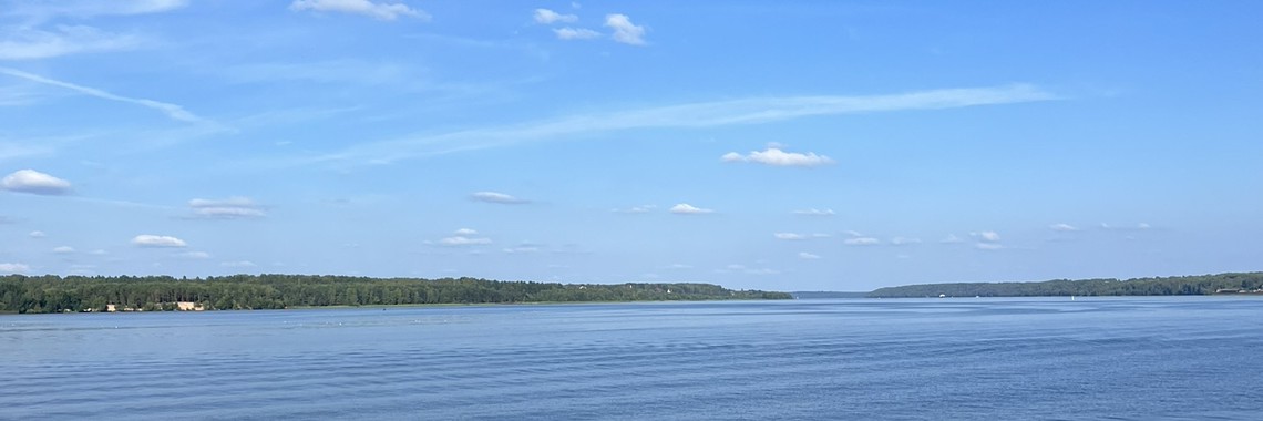 Ромашка