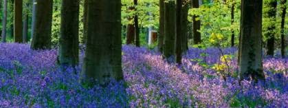 Анатолий Владимирович Петренко